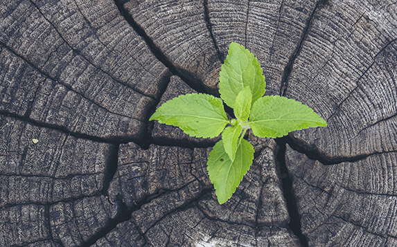 Debevoise Receives a 2021 Beacon of Justice Award from NLADA for The ...